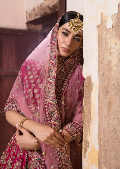 Pakistani Bridal Dresses Online - Wedding Outfits - Mahgul – MAHGUL